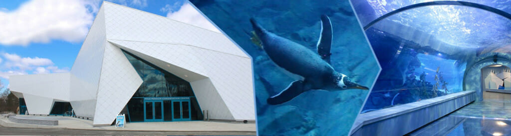 Home - Polk Penguin Conservation Center